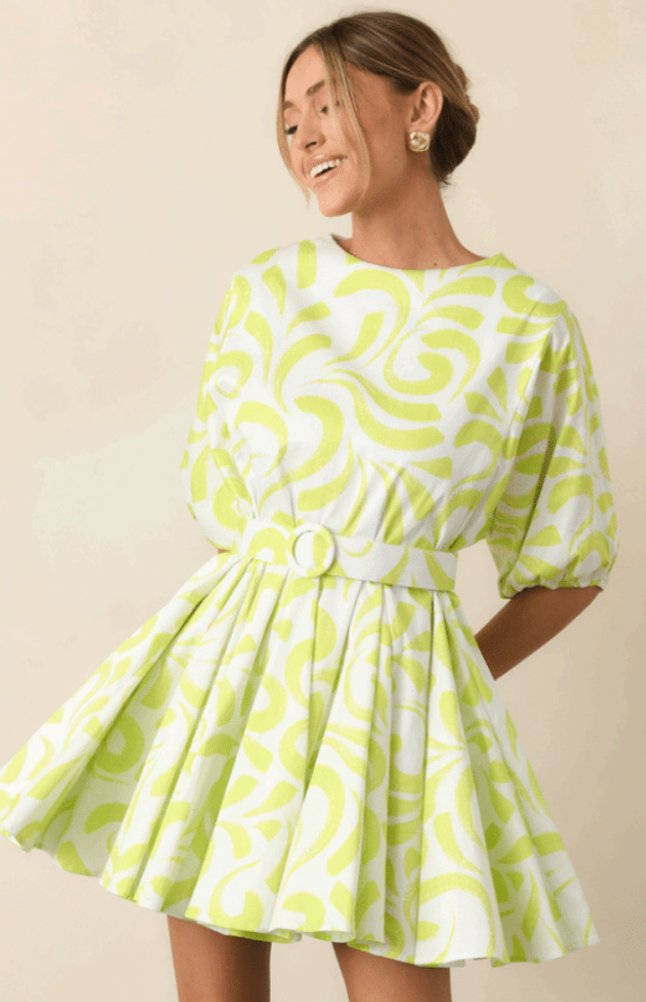 Prosperina Fallon Swing Dress Brush Strokes Print – Planters Exchange